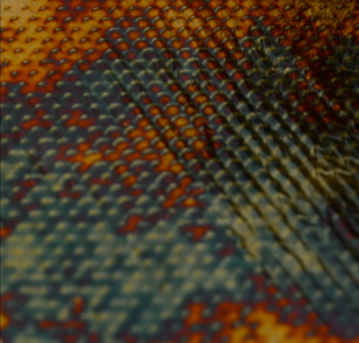 Issue 50 - Metallic Python, what makes it so special? – HEDON